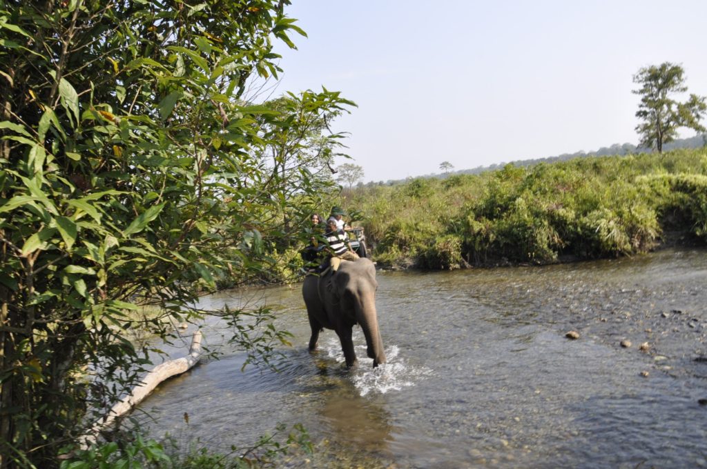 Gallery - Hollong Eco Village Resort | Hotels in Jaldapara